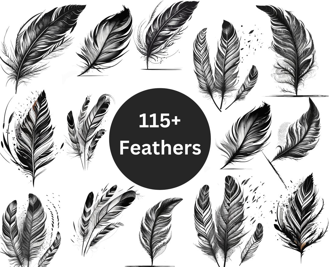 Feather SVG Bundle | Birds Feather Svg | Feather Png | Silhouette for ...