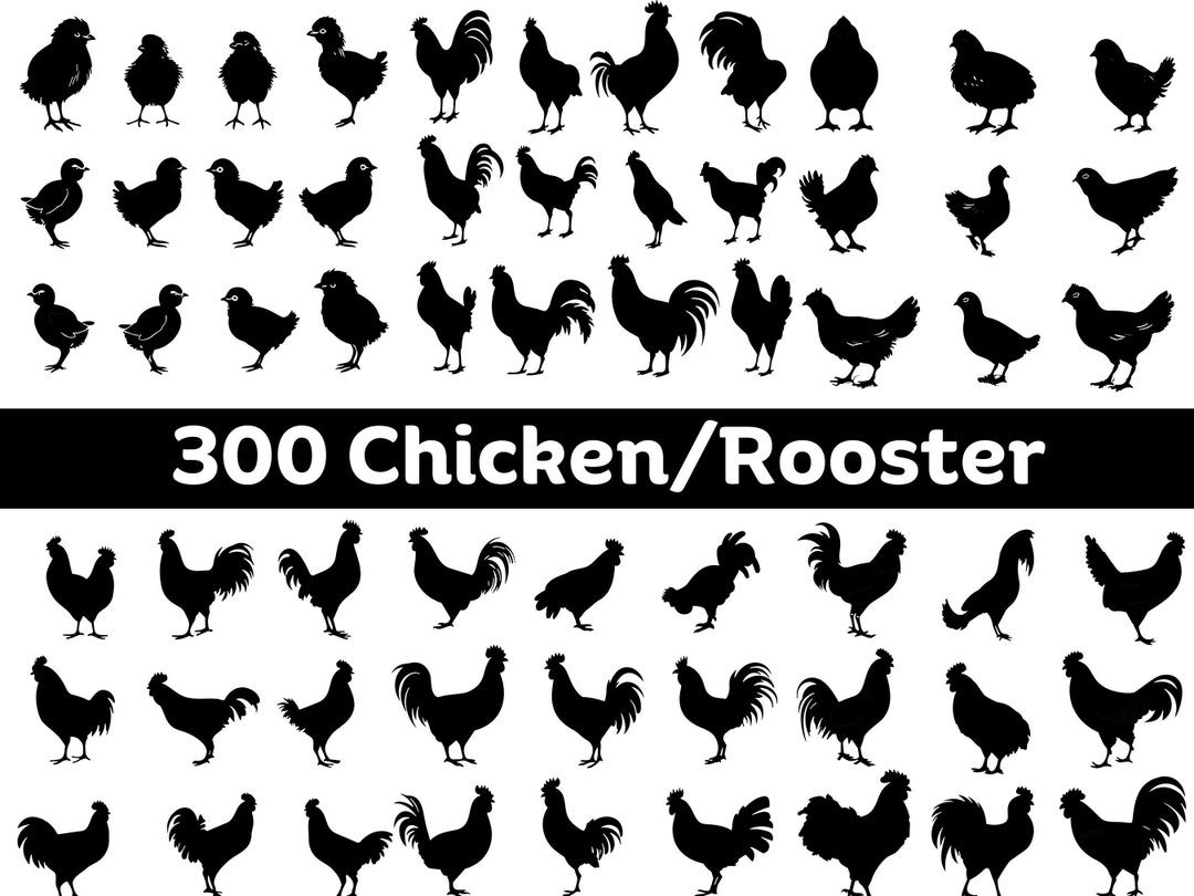 Pollo Svg Animal Svg Silueta de pollo Archivos de corte de pollo ...