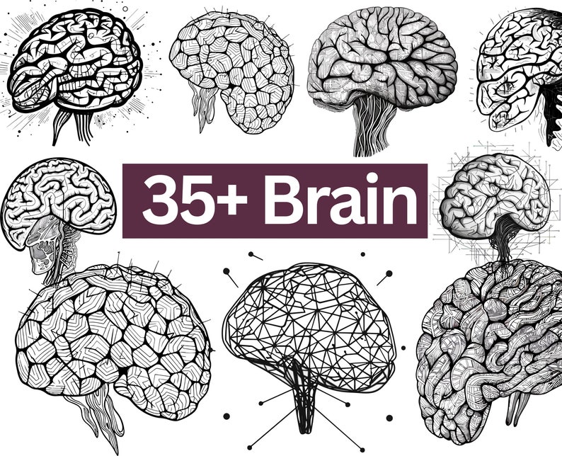 Brain SVG Human Brain Svg Brain Clipart Mind Svg Brain - Etsy
