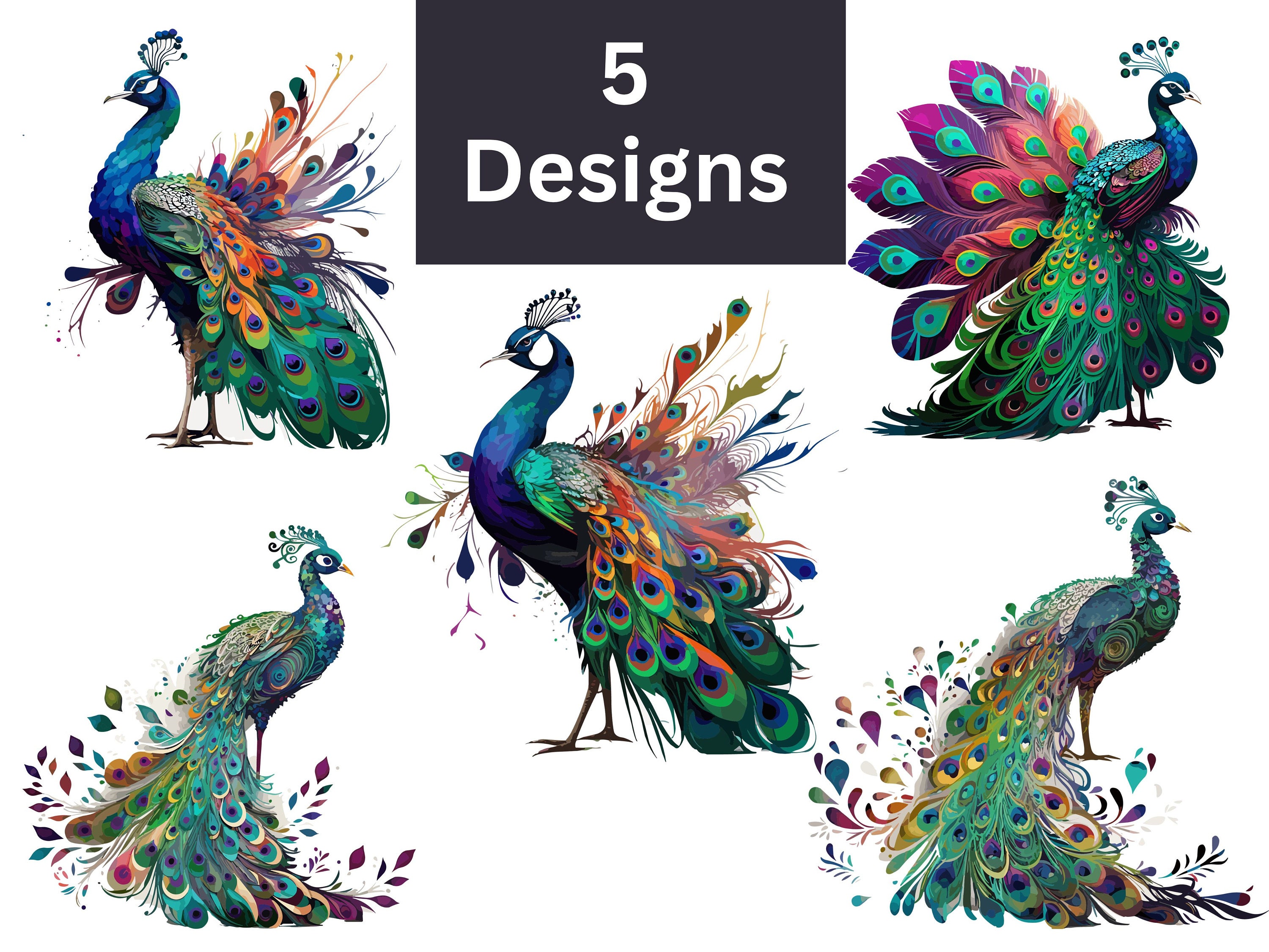 5 Colorful Peacock Png Peacock Feather Png Peacock Clipart Etsy