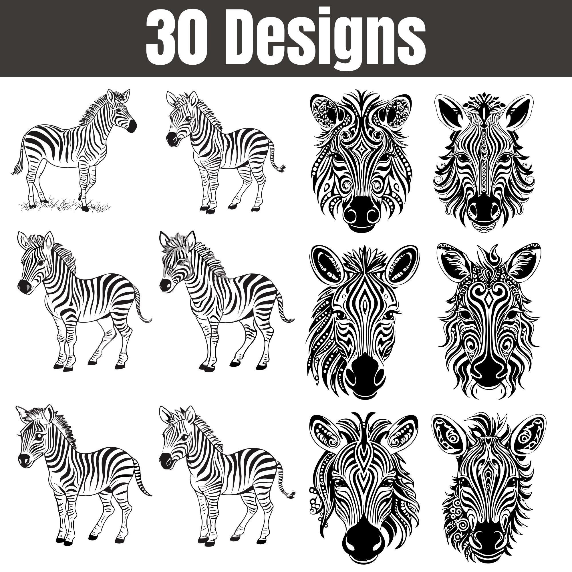 Zebra Vector Set Zebra SVG Zebra Clipart Zebra Files - Etsy