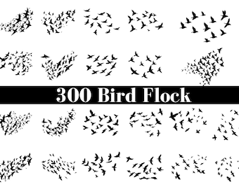Flock of Birds Svg Bundle, Flock of Birds Clipart, Flock of Birds Cut ...