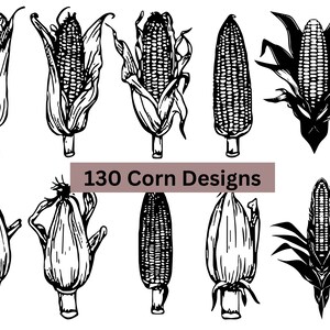Corn SVG Bundle, SVG Files for Cricut, Corn Clipart, Farm Svg ...