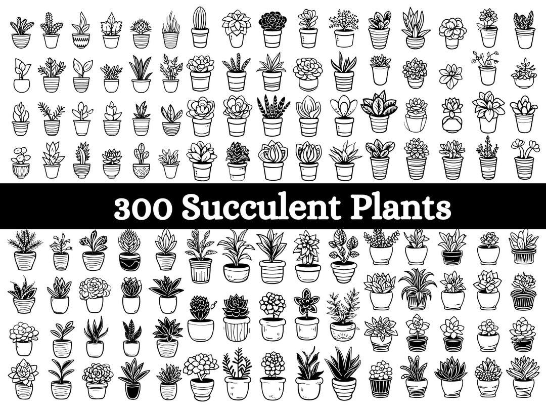 Cactus Pots Svg Bundle Succulents Svg Cactus Svg Potted Plants Svg ...