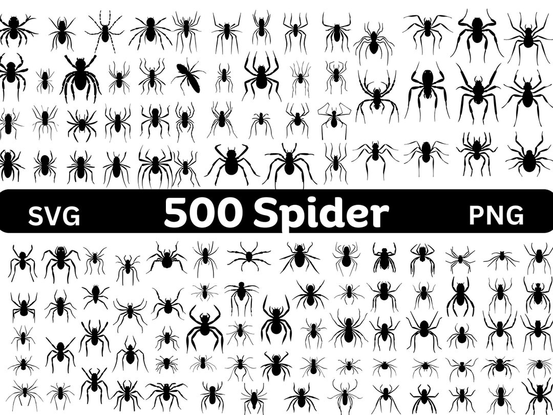 Spider Svg Bundle, Svg Files for Cricut, Spider Clipart, Spider Cut ...
