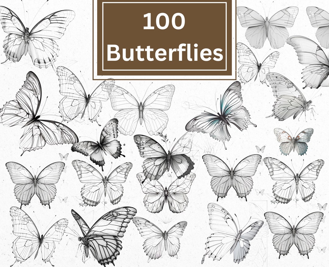 Line Art Butterflies Pack of 100 | Butterflies Drawing | Printable Art ...
