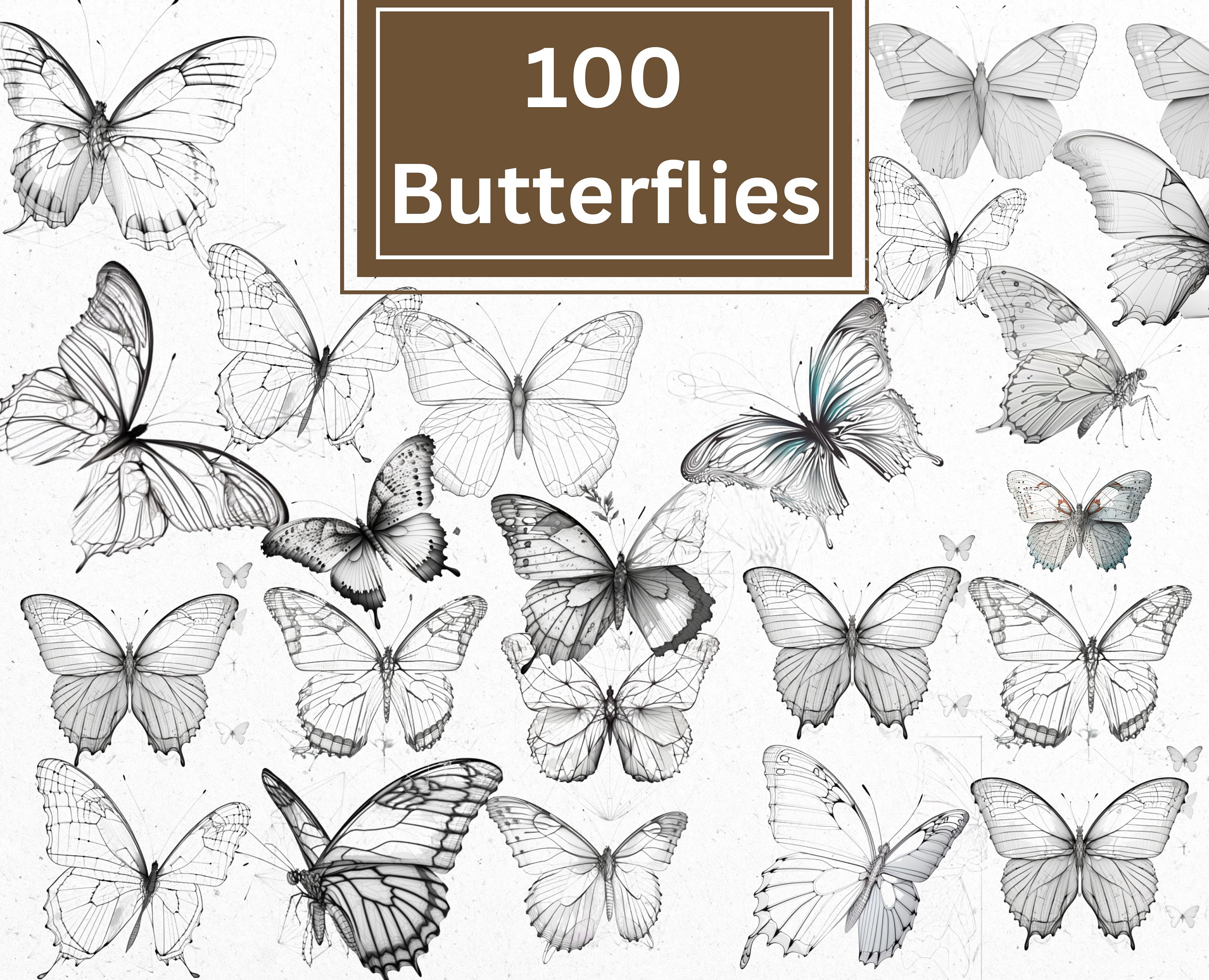 Line Art Butterflies Pack of 100 Butterflies Drawing - Etsy