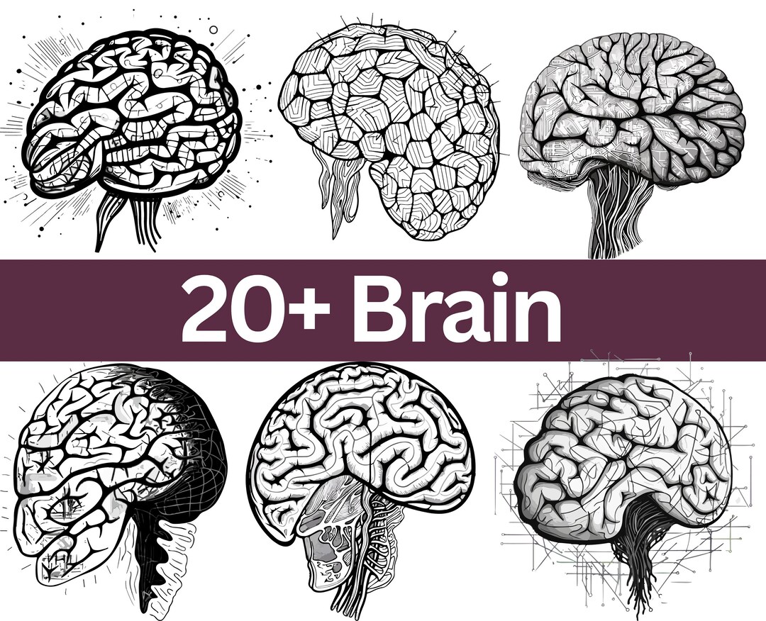 Brain SVG | Human Brain Svg | Brain Clipart | Mind Svg | Brain Svg ...