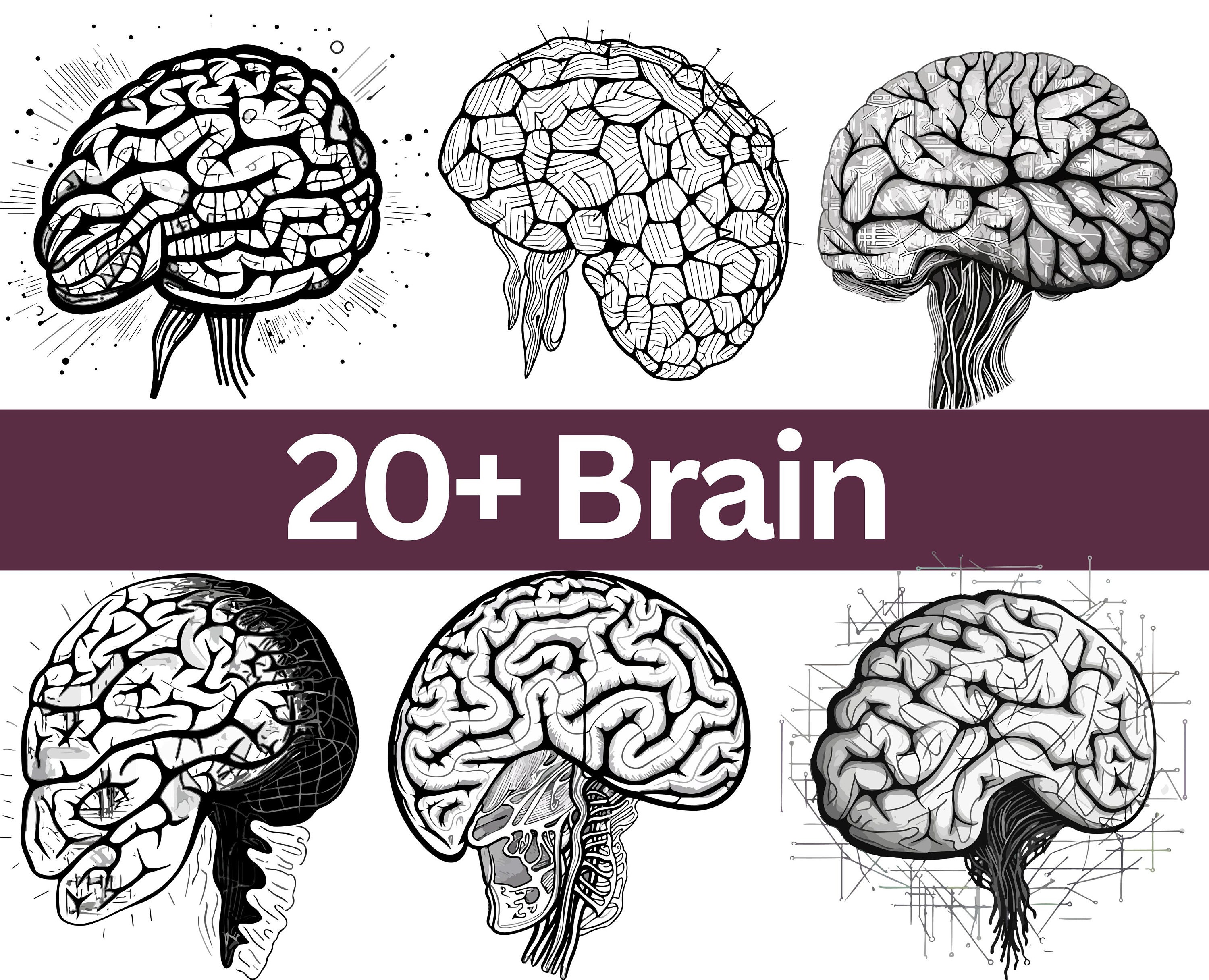 Brain SVG Human Brain Svg Brain Clipart Mind Svg Brain - Etsy