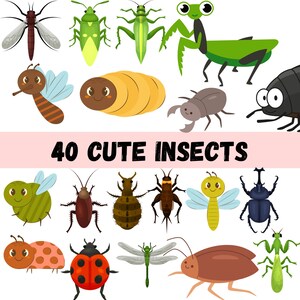 Bugs SVG, Insects SVG, Bugs Outline Clipart, Beetle Svg, Line Art Svg ...