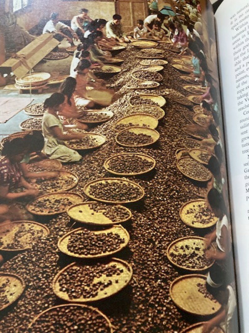 Pacific and South East Asian Cooking; 208 Pages; 1970; Foods of the ...