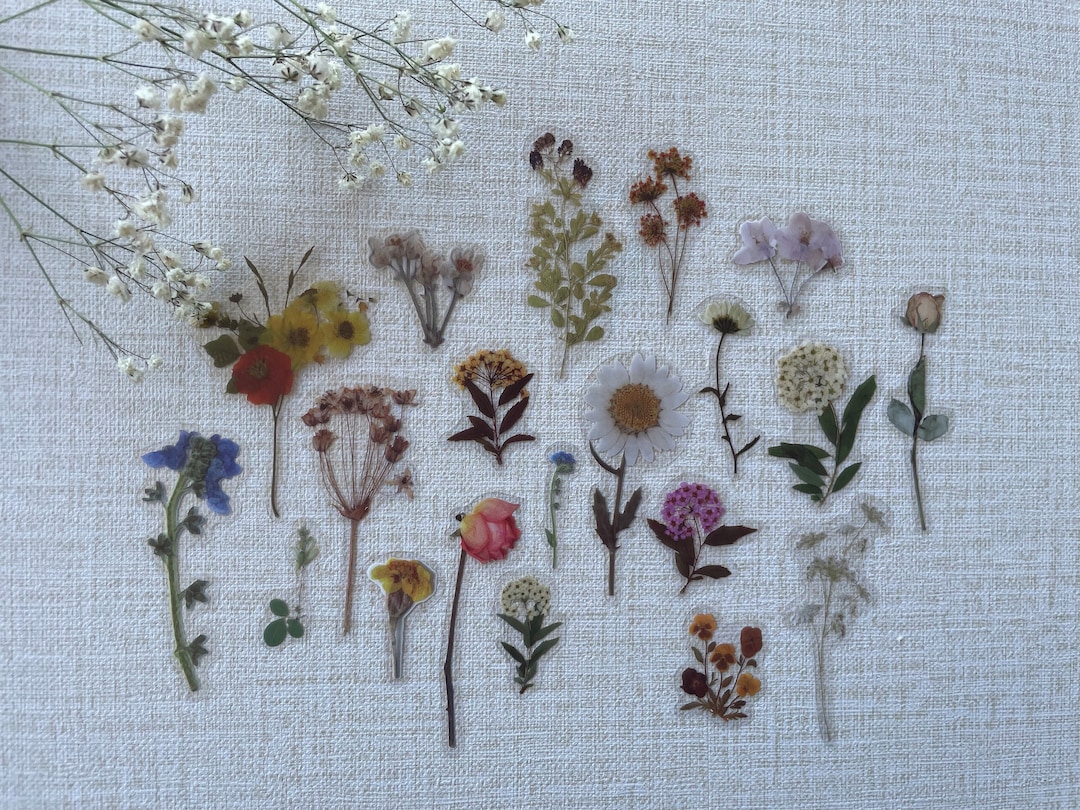 Pressed Flower Stickers, Sticker Set, Laptop Stickers Pack, Flower ...