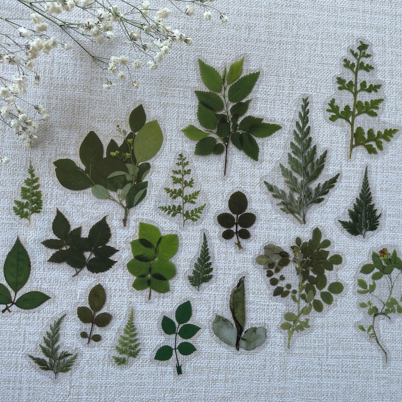 Nature Stickers - Etsy