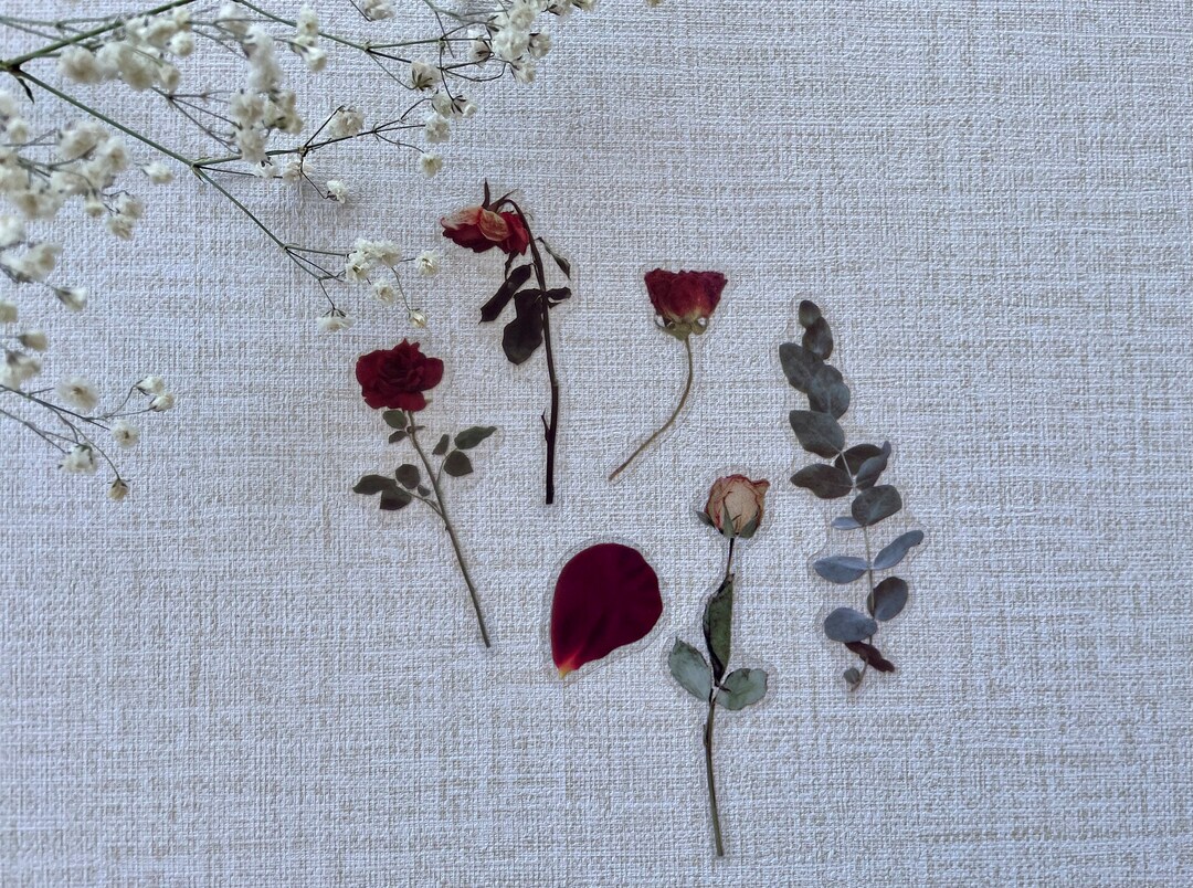 Pressed Flower Stickers, Sticker Set, Laptop Stickers Pack, Flower ...