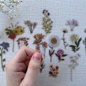 Pressed Flower Stickers, Sticker Set, Laptop Stickers Pack, Flower ...