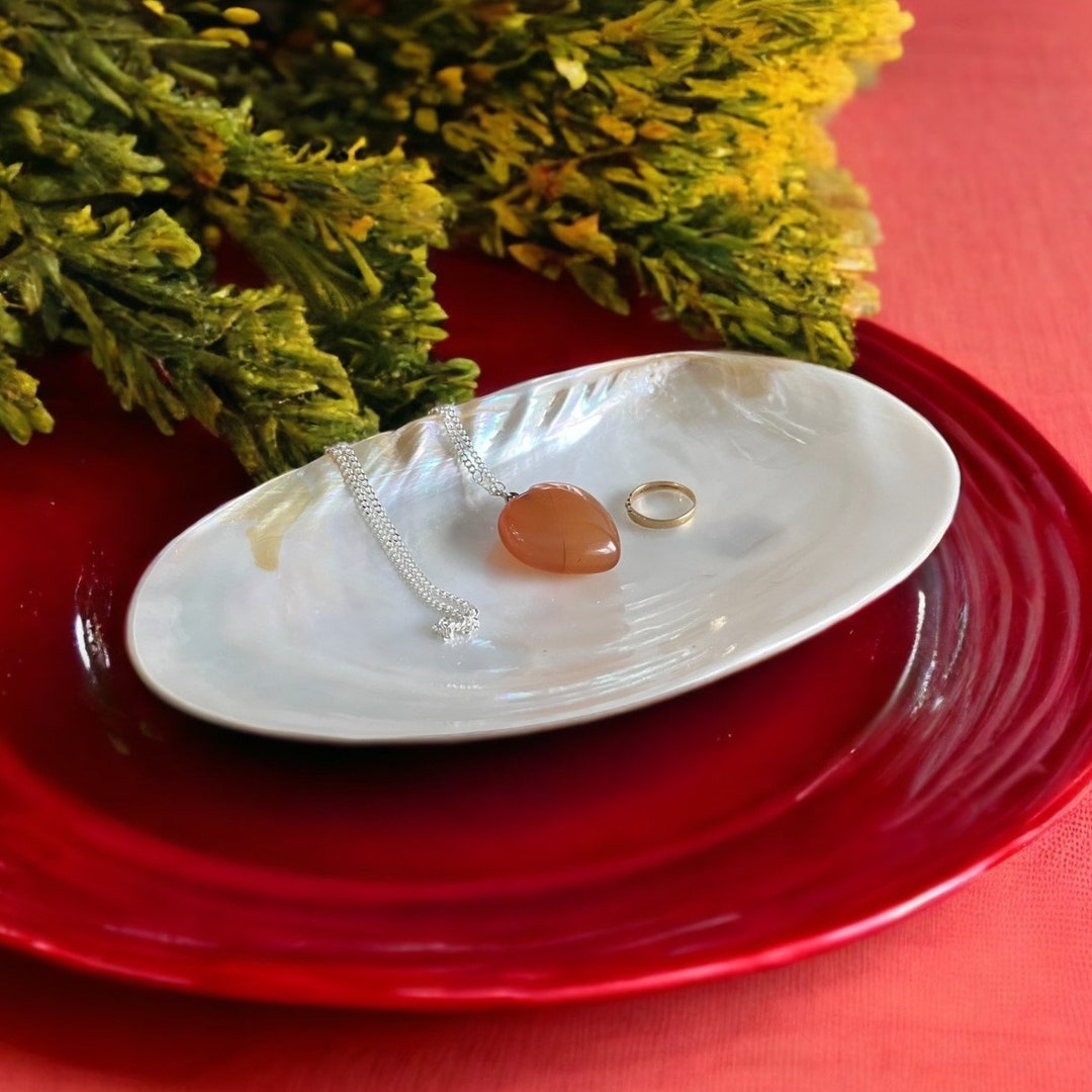 Jewelry Holder, Decorative Shell Dish, Mother Pearl Dish, Seashell Dish ...