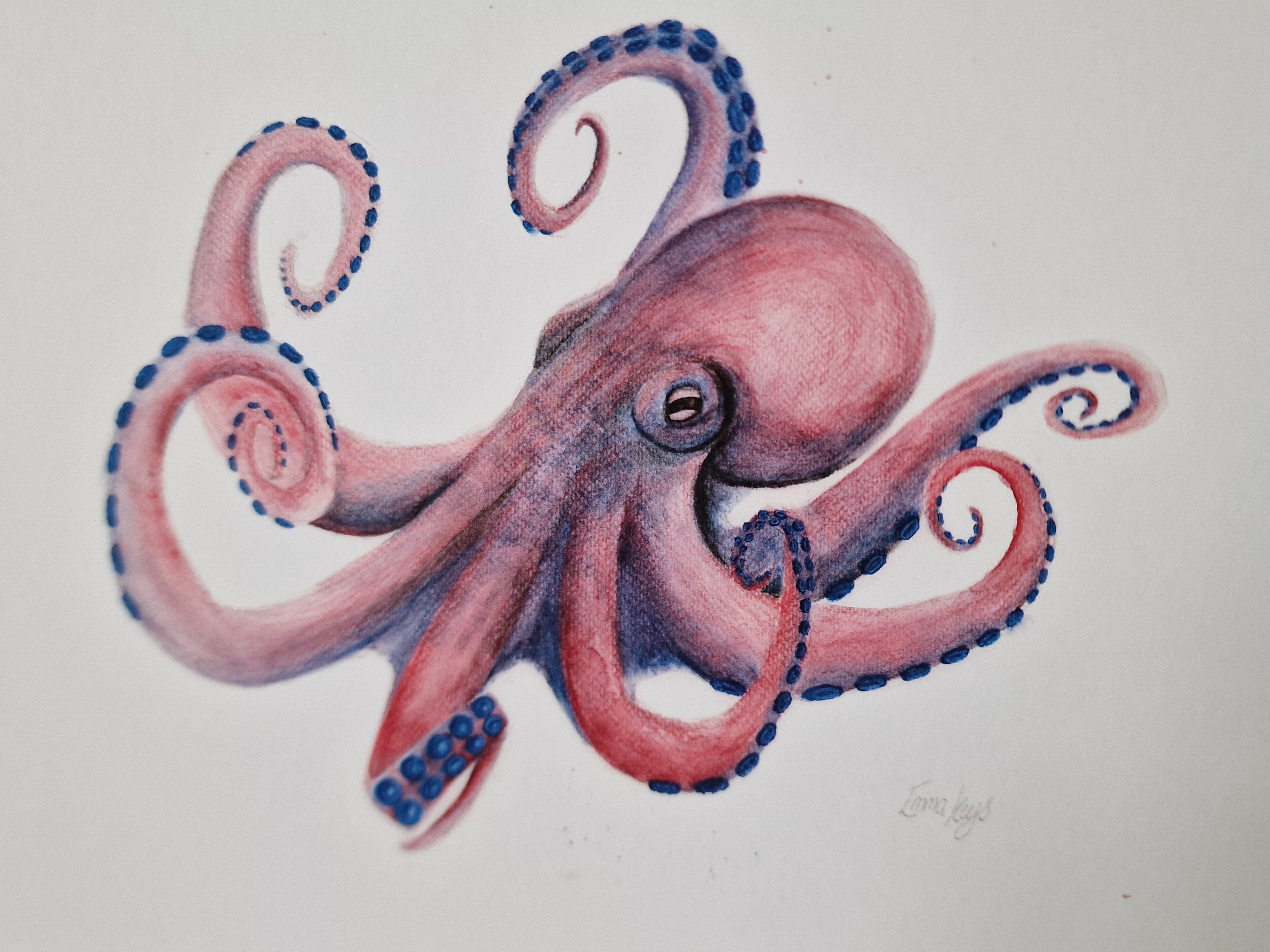 Red Octopus Art Print Mounted - Etsy