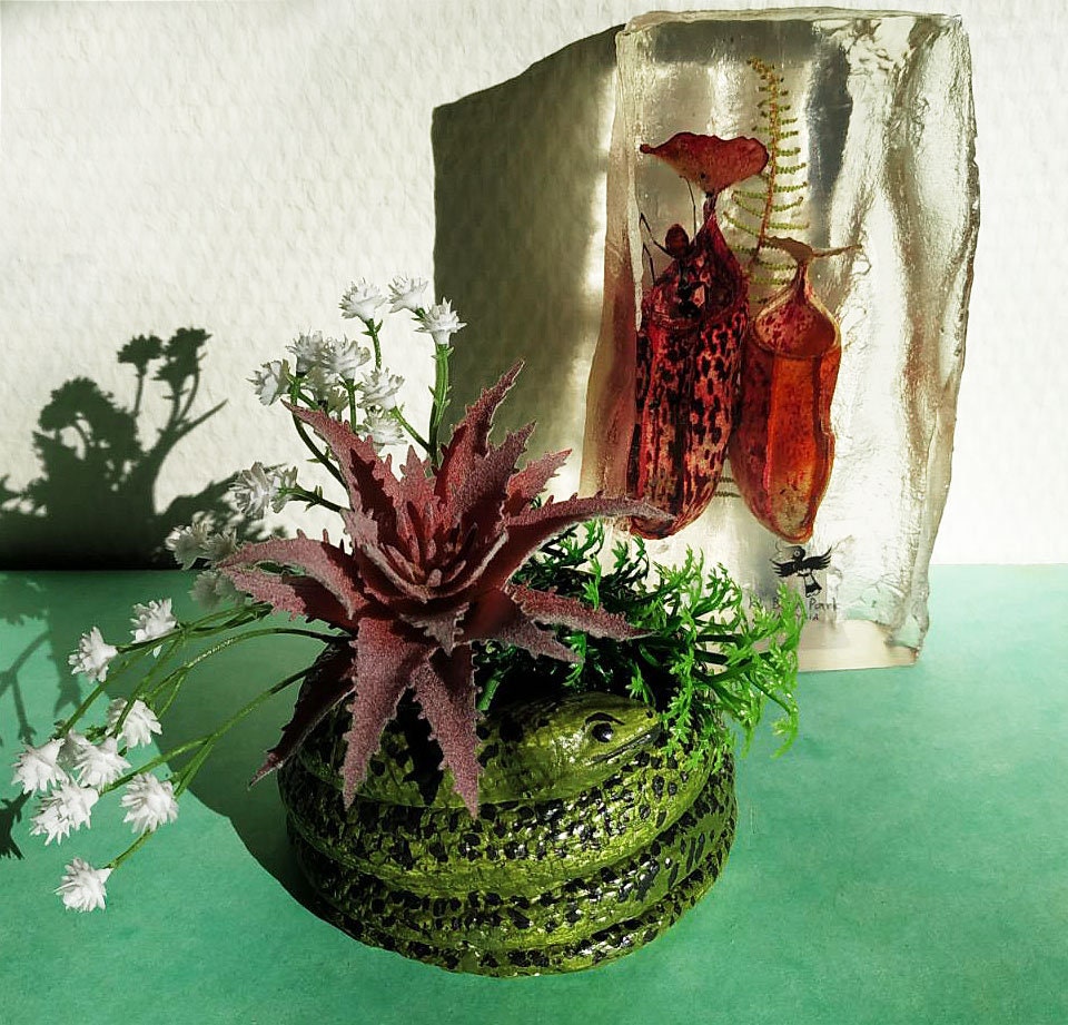 Green Snake. Pot for Succulents and Cacti in the Form of a Snake ...