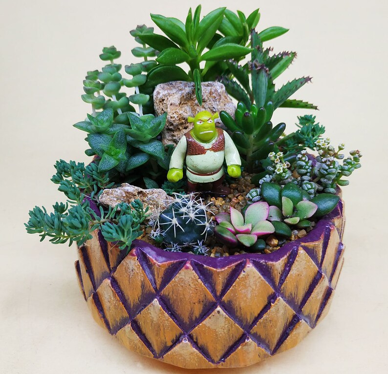 Conjunto de 2 piezas. Shrek. Personaje de dibujos animados famoso ...