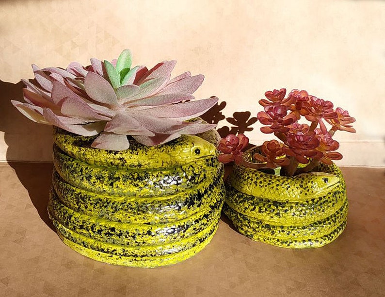 Green Snake. Pot for Succulents and Cacti in the Form of a Snake ...