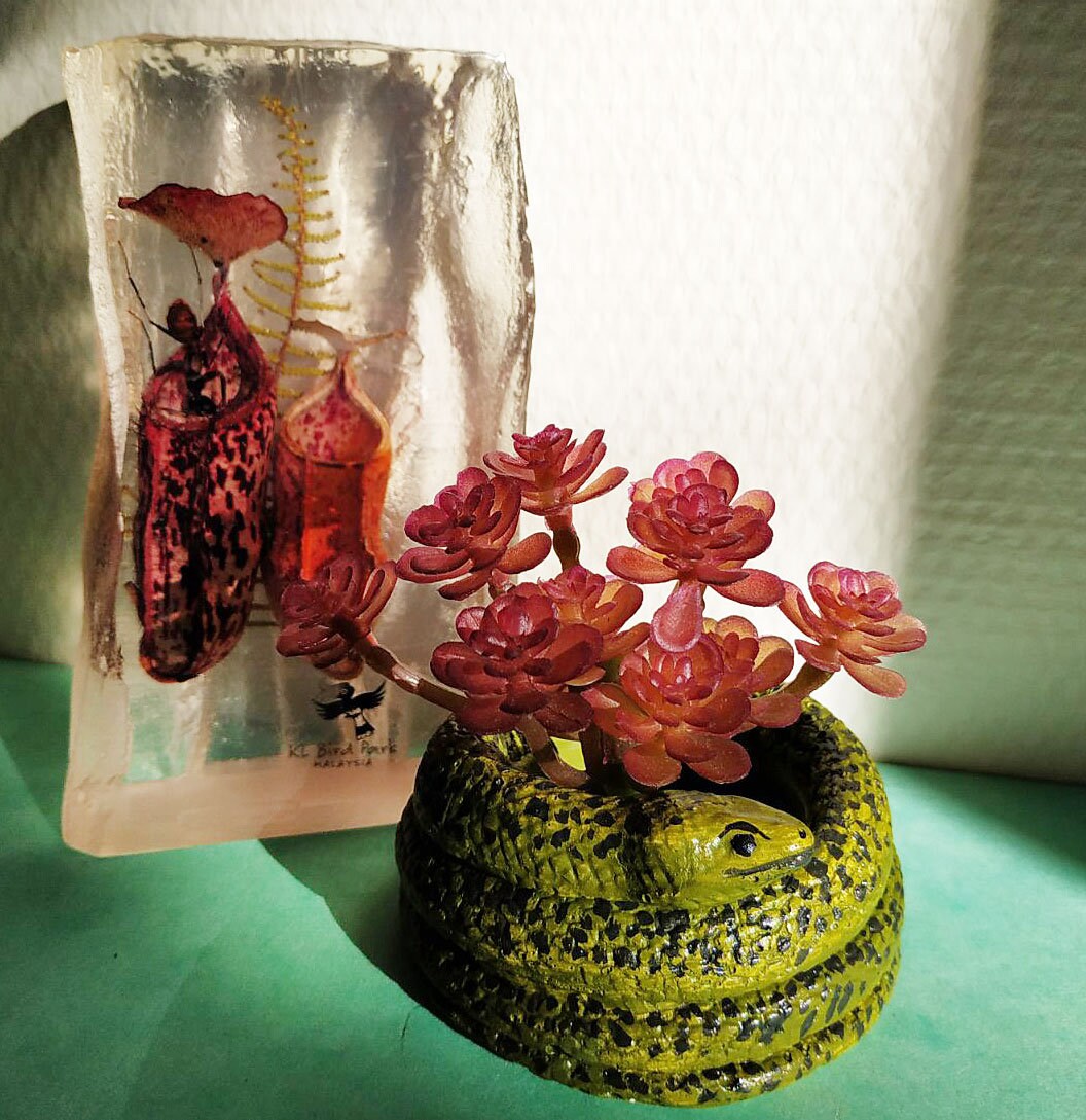 Green Snake. Pot for Succulents and Cacti in the Form of a Snake ...