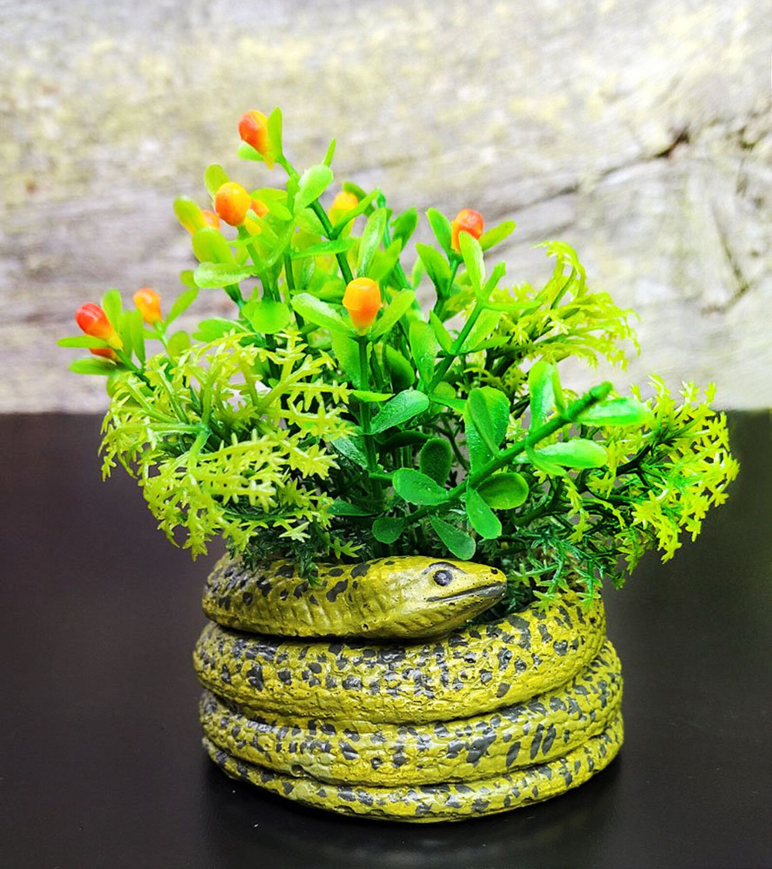 Green Snake. Pot for Succulents and Cacti in the Form of a Snake ...