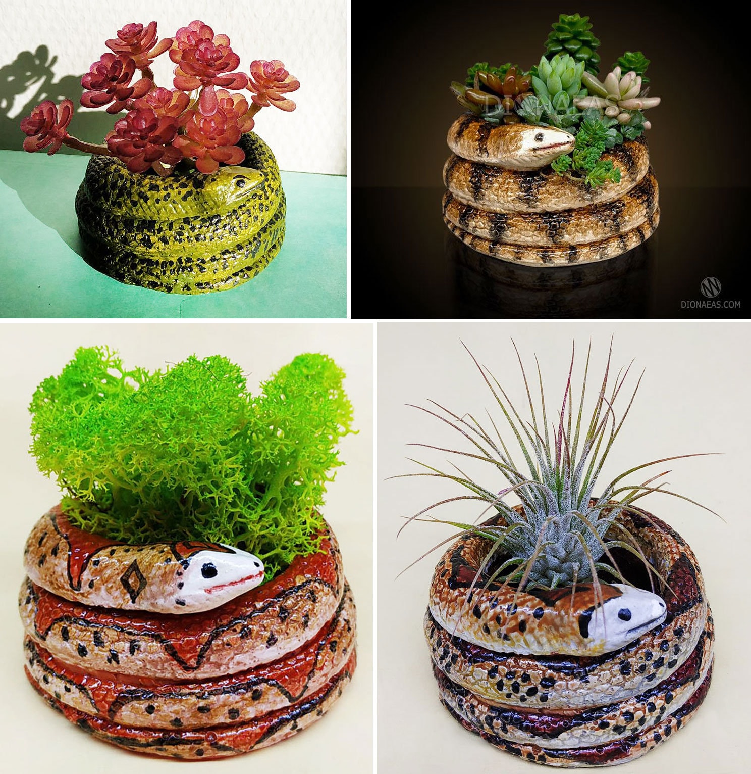 Green Snake. Pot for Succulents and Cacti in the Form of a Snake ...