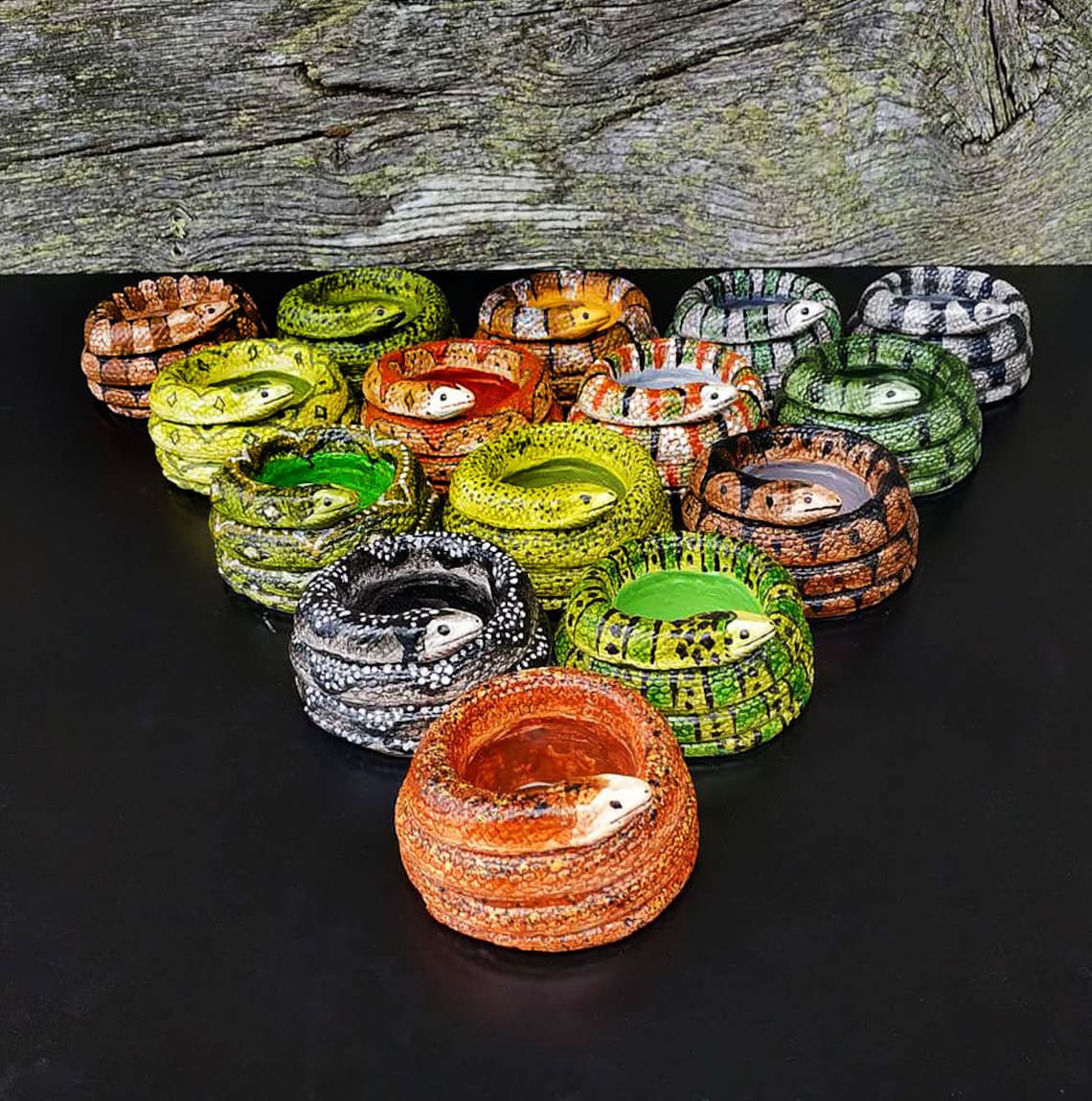 Green Snake. Pot for Succulents and Cacti in the Form of a Snake ...