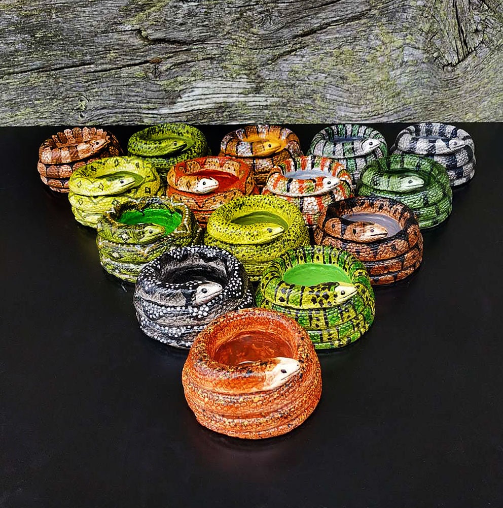 Green Snake. Pot for Succulents and Cacti in the Form of a Snake ...