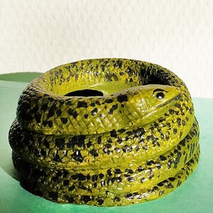 Green Snake. Pot for Succulents and Cacti in the Form of a Snake ...