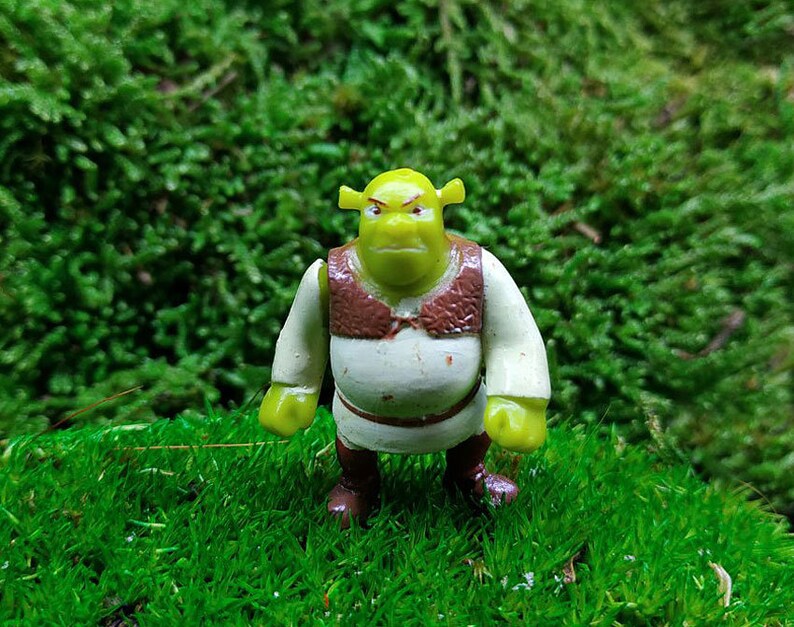 Set of 2 Pieces. Shrek. Famous Cartoon Character. Favorite of Many ...