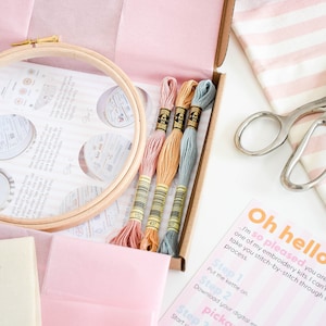 Stitch Along Embroidery Kit / Complete Beginner Embroidery Kit / Pick ...