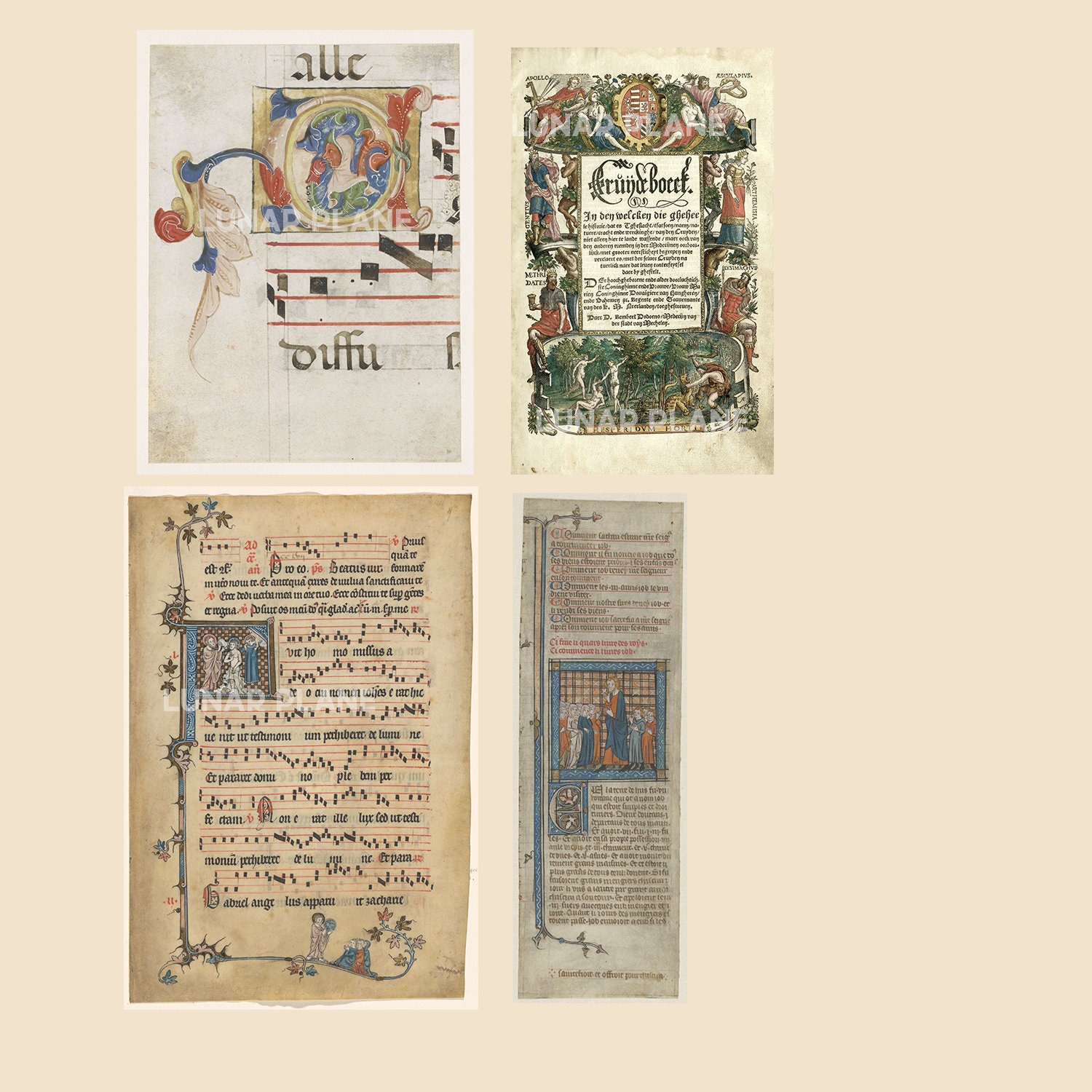 Medieval Manuscript Original Scanned Images, Digital Download ...