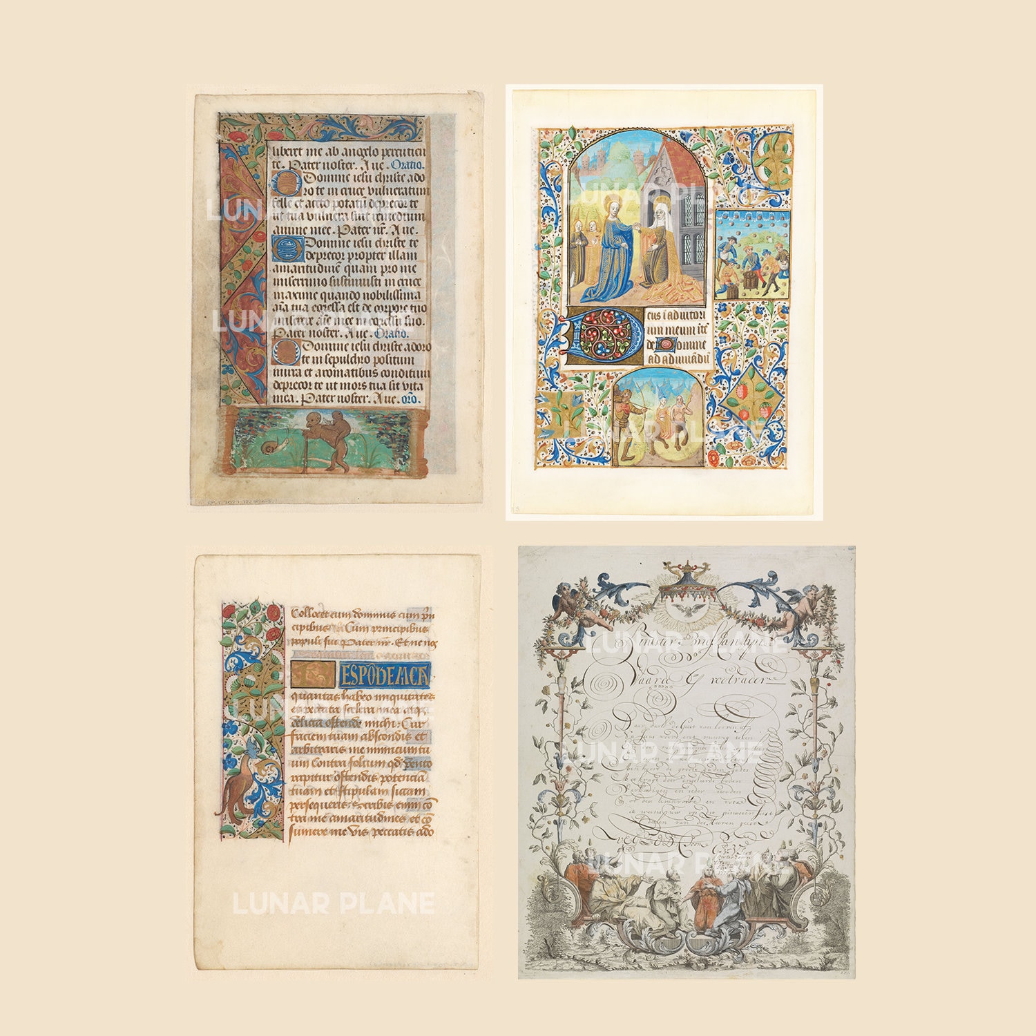 Medieval Manuscript Original Scanned Images, Digital Download ...