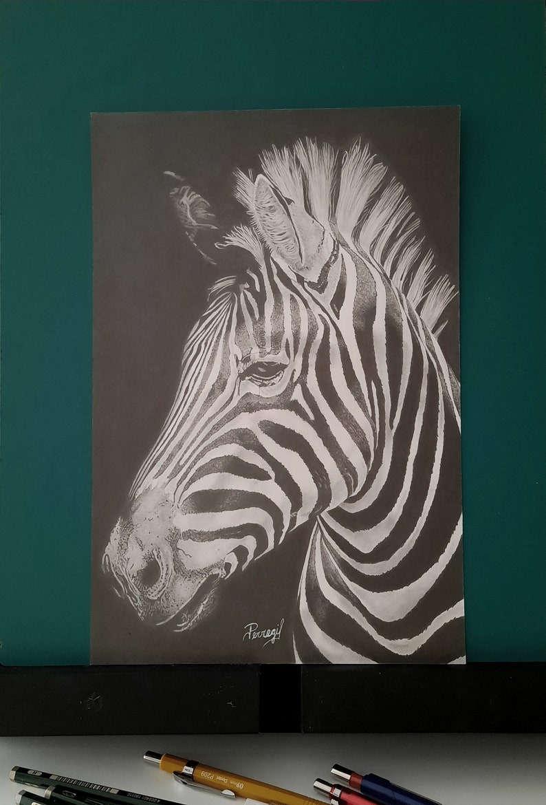 Zebra Drawing Realistic Drawing Graphite Pencil Drawing - Etsy