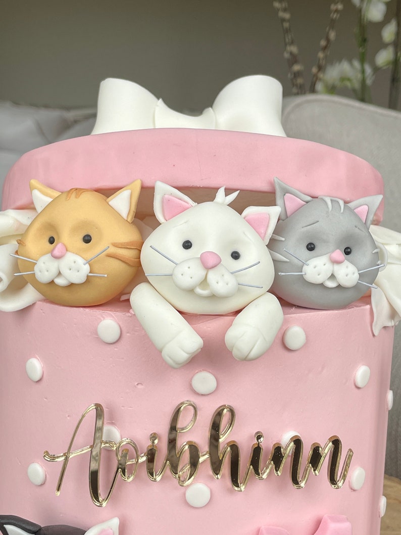 Cat T Box Fondant Cake Toppers With Cat Yellow Cat Grey Cat And Black Cat Girly Cake 3 Cat