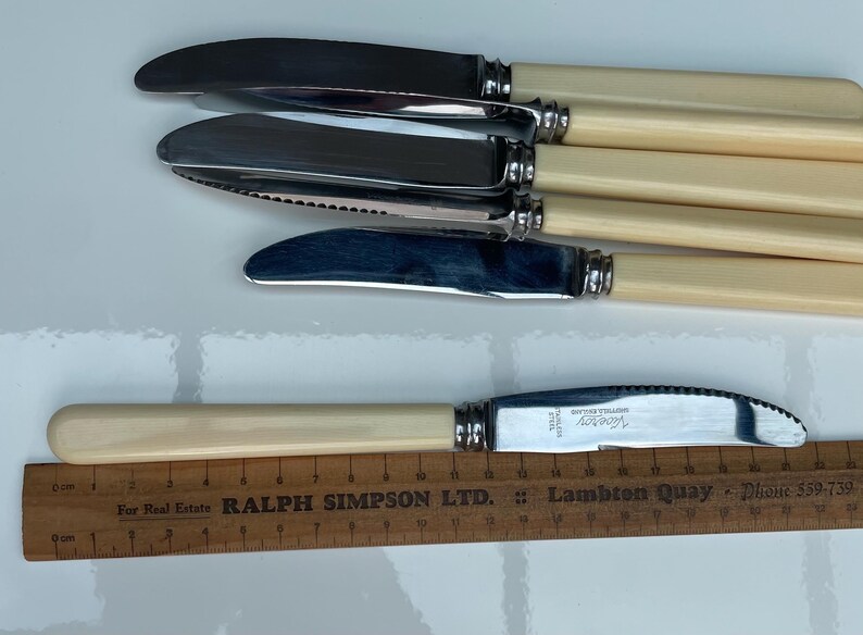 Set of Six Vintage Serrated Dessert Cutlery With Long Celluloid Handles ...