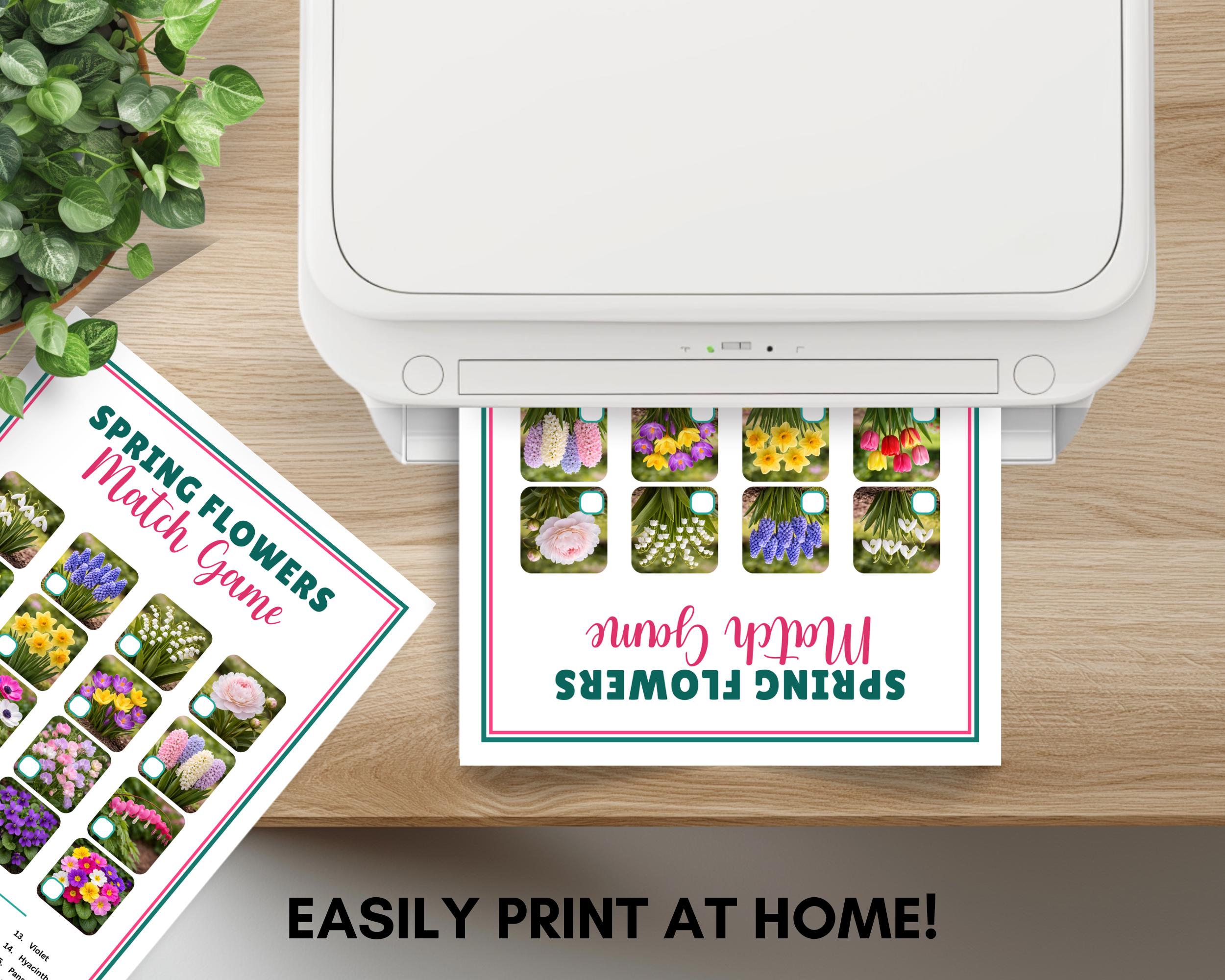 Flowers Trivia Game, Name the Flower Match up Spring Flowers Quiz ...