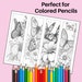 Coloring Bookmarks Butterfly and Flowers to Color for Adults and Teens ...