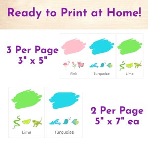 Colors Flashcards for Kids Education, 12 Color Cards Montessori ...