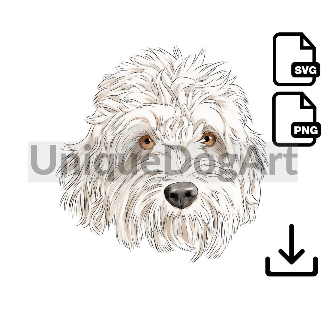 Unique Watercolor White Labradoodle PNG Clipart Printable Dog Art ...