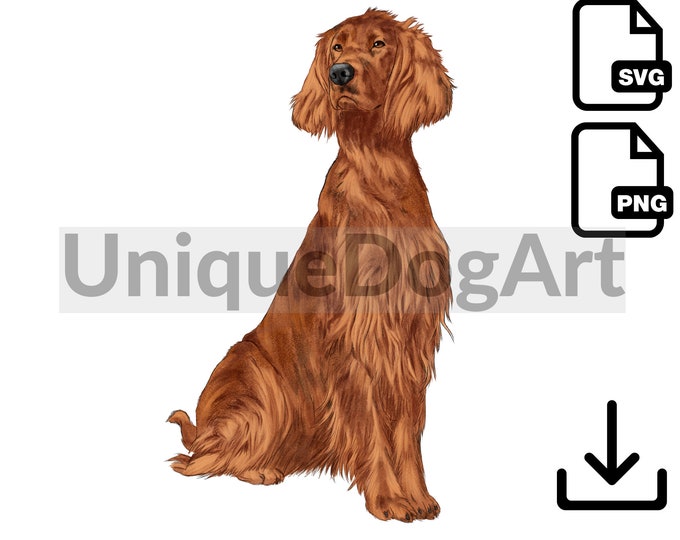 Unique Sitting Irish Setter PNG Clipart Sublimation Design Graphic ...