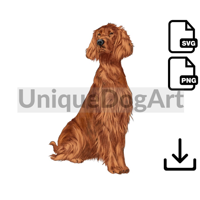 Unique Sitting Irish Setter PNG Clipart Sublimation Design Graphic ...