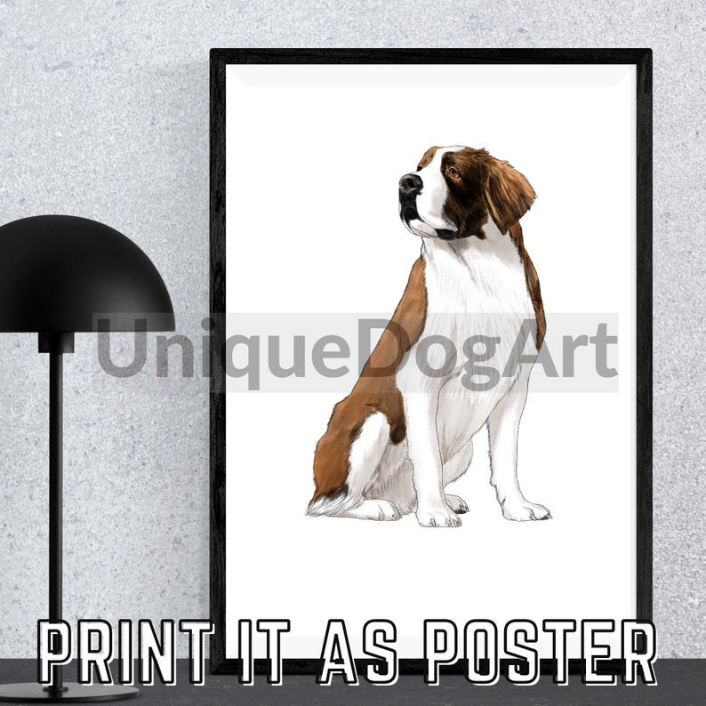 Unique Sitting Saint Bernard PNG Clipart Sublimation Design - Etsy