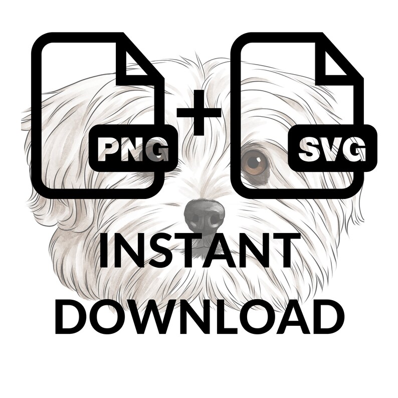 Hund Malteser PNG und SVG Datei - Etsy.de