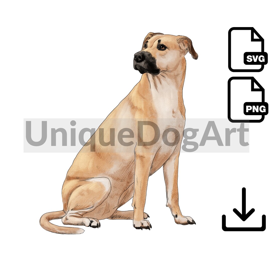 Unique Sitting Black Mouth Cur PNG Clipart Vector Sublimation Design ...