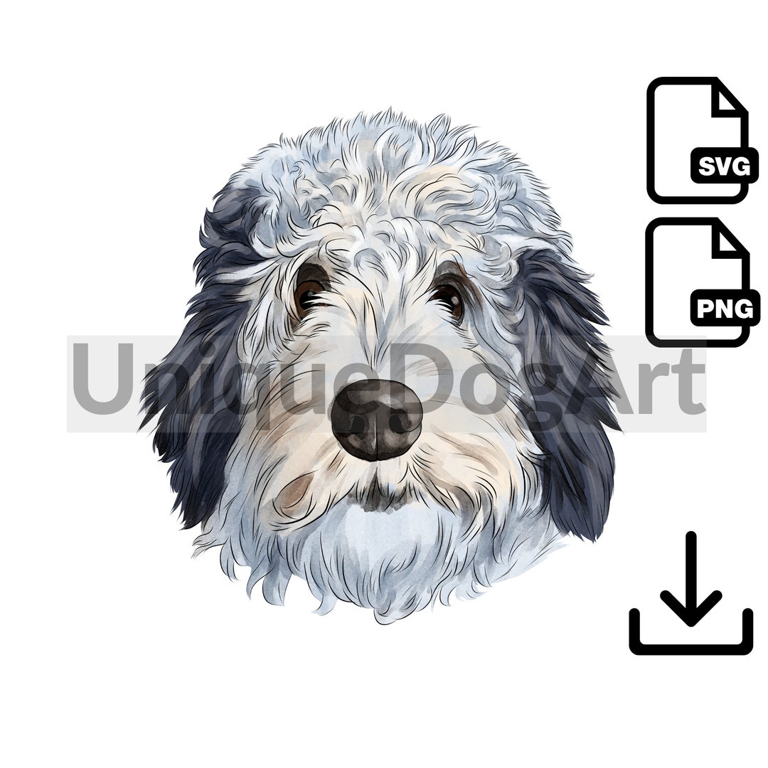 Bernedoodle PNG Clipart Unique Watercolor Printable Dog Art Digital ...