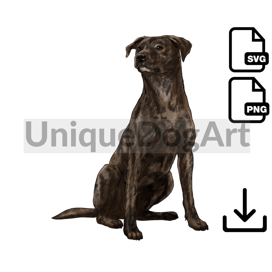 Sitting Mountain Cur PNG Clipart Vector Sublimation Design Graphic Dog ...