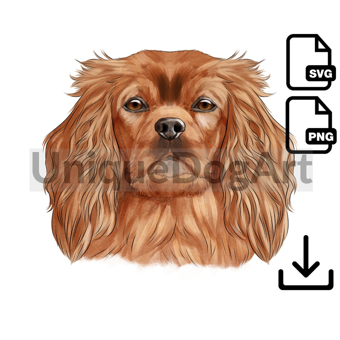 Unique Watercolor Ruby Cavalier King Charles Spaniel PNG - Etsy