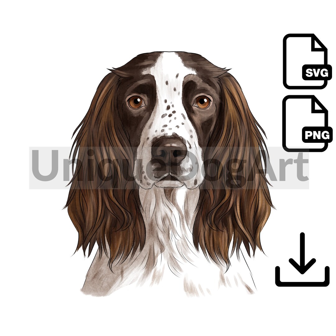 Unique Watercolor English Springer Spaniel PNG Clipart Sublimation ...
